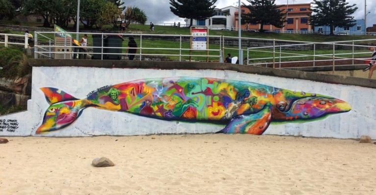 2016 – Southern Right Whale – Bondi Beach Graffiti Wall