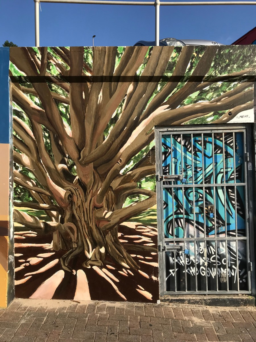 2017 – Moreton Bay Fig Tree – Bondi Beach Graffiti Wall