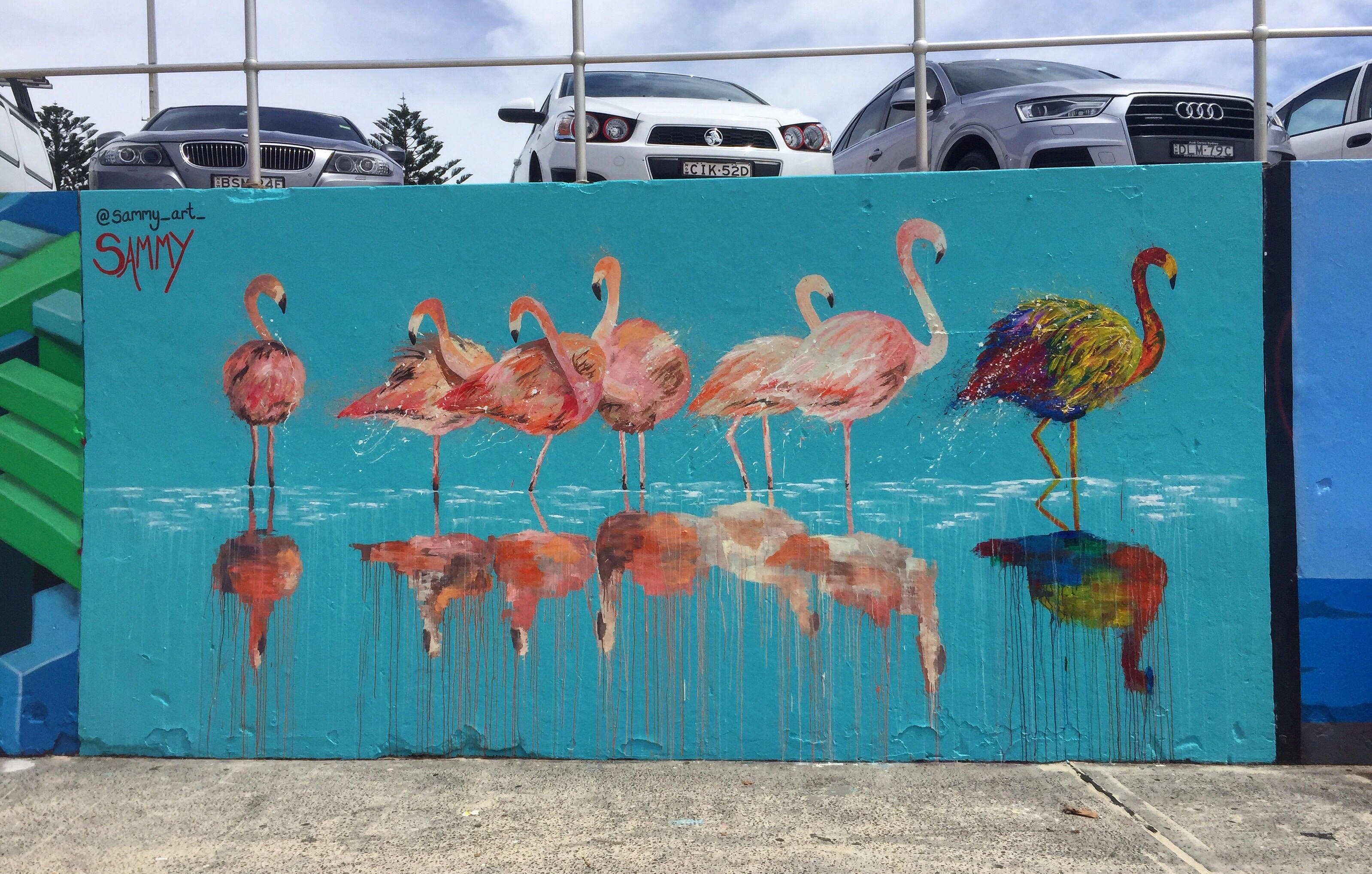 2018 – Bondi Flamingos – Bondi Beach Graffiti Wall